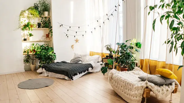 10 Eco-Friendly Home Decor Ideas You Need to Try Today