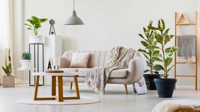 9 Unique Ways on How to Fill Empty Space in Your Living Room
